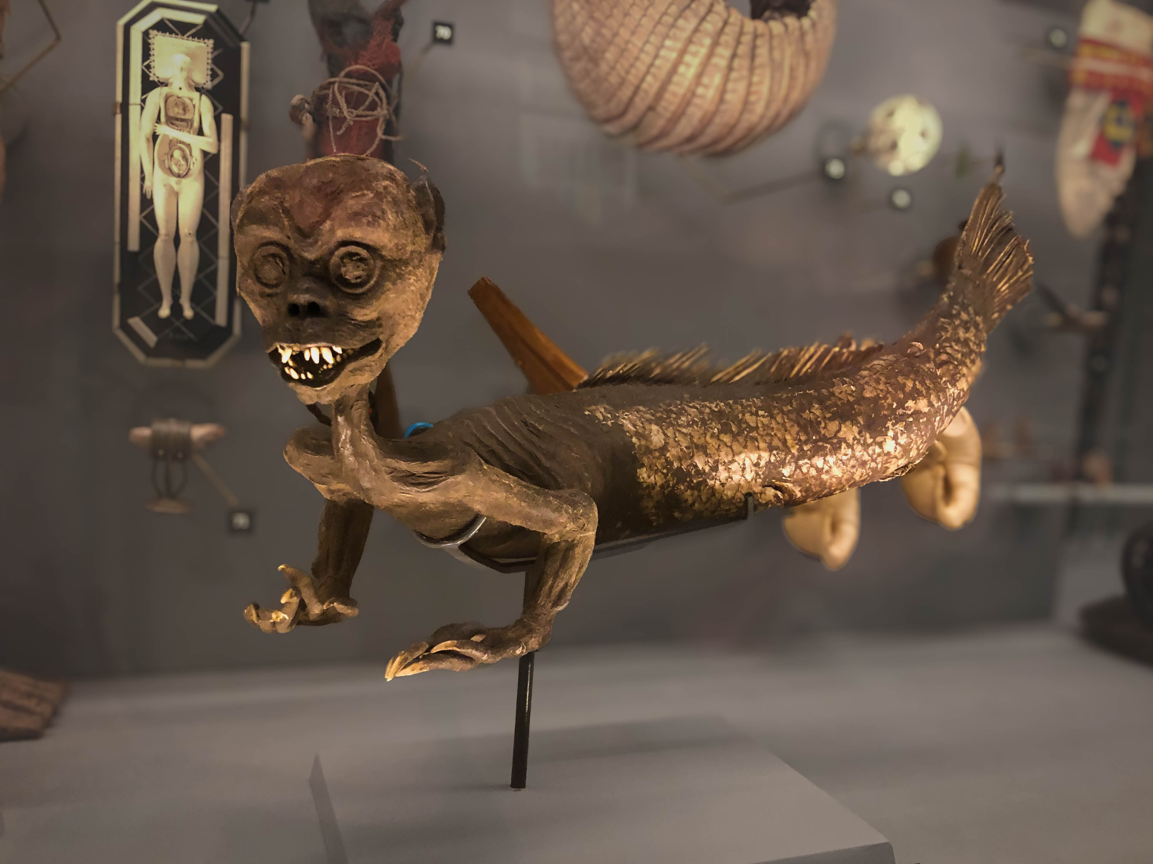 Mainly Museums - Mermaids, ‘scare devils’, and an overstuffed Walrus at ...